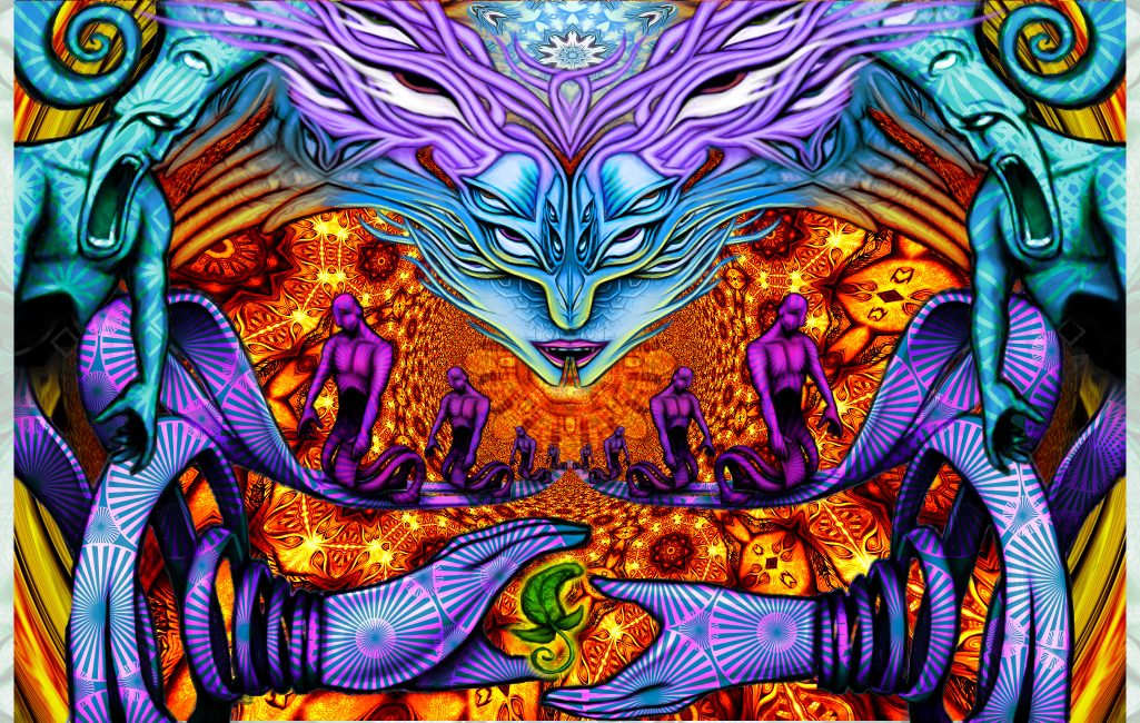 Experiencia con Salvia Divinorum - Sweed - Natural Products